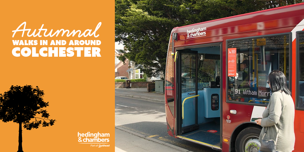 Discover Nature's Beauty - Autumn Walks in and around Colchester - KonectBuses